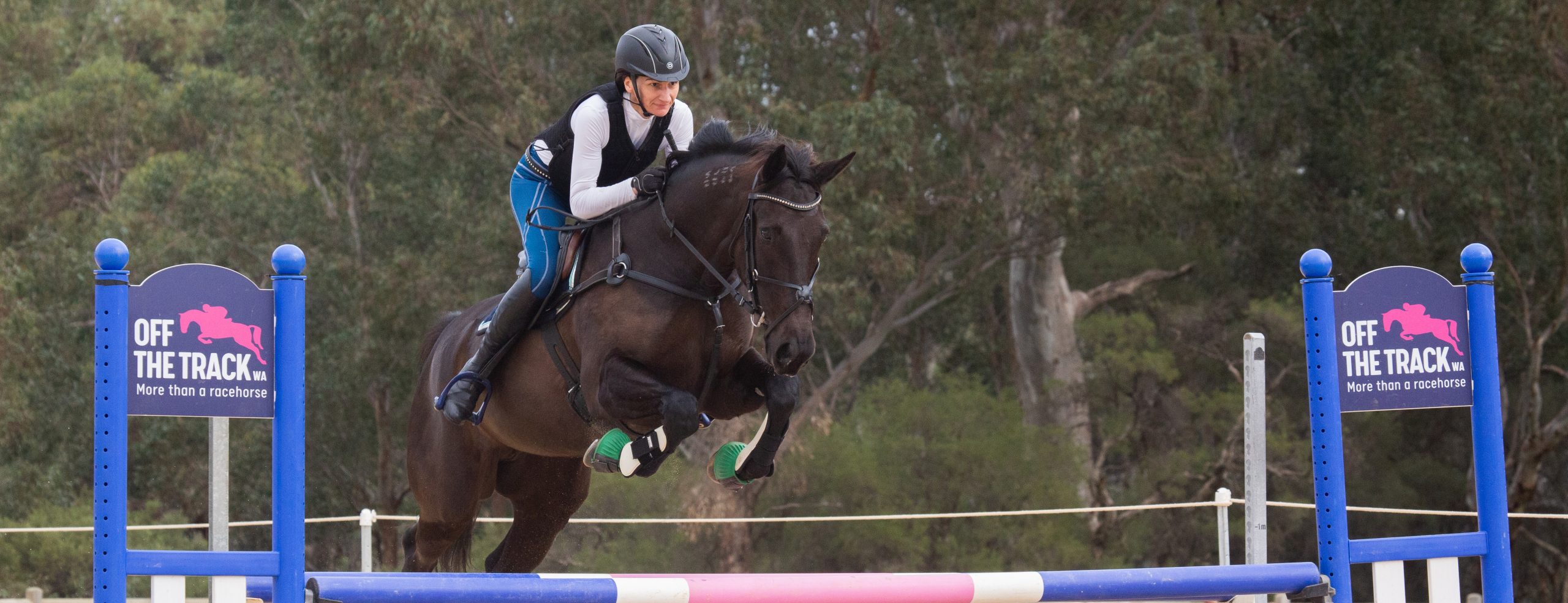 Sutters Pride, the standardbred who loves to jump | Off The Track WA