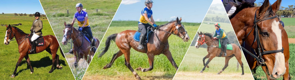 Paleface Phantom | Handsome Phantom! | Off The Track WA