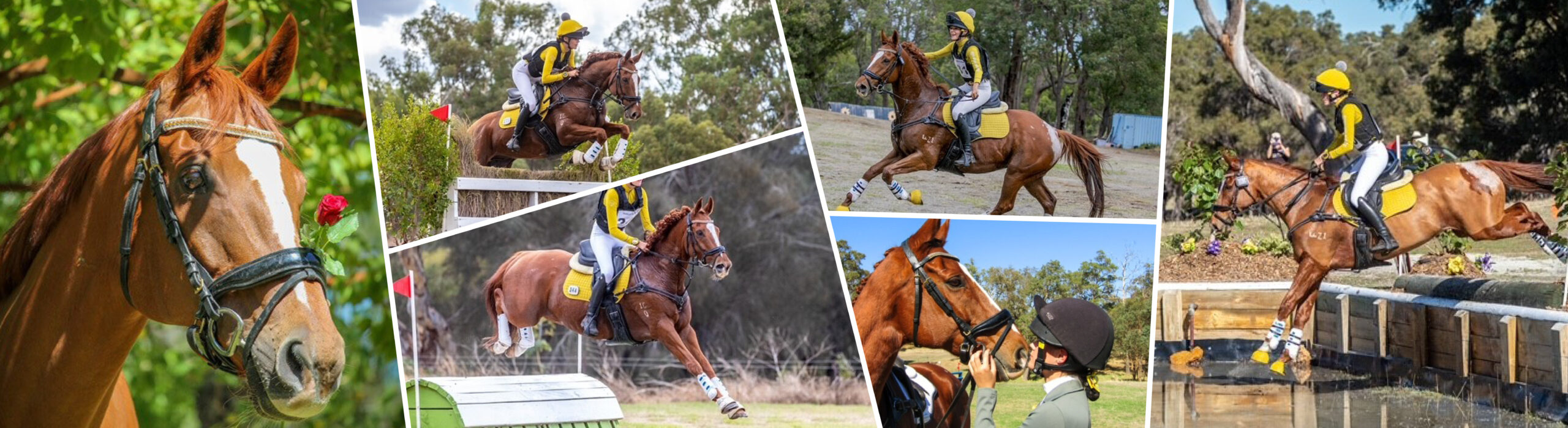 Rockhampton Rocket | Striking Ajax Aiming Onwards and Upwards | Off The ...
