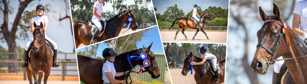 Henrietta Lisa | From Broodmare Paddock to Hitting the Trails | Off The ...