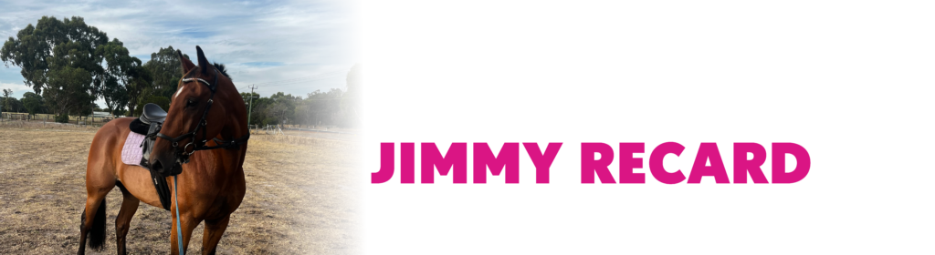 Jimmy Recard | Standardbred Show Horse Prospect | Off The Track WA