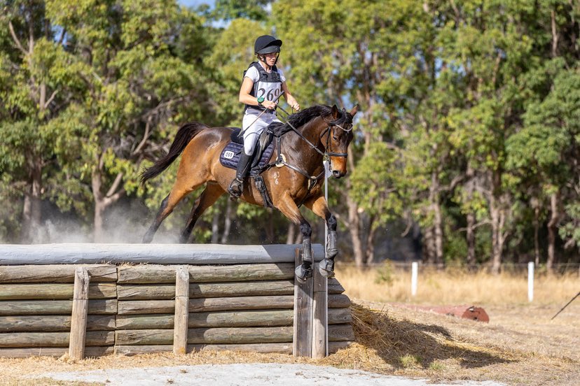 Thunder God Returns to Compete in Sydney | Off The Track WA