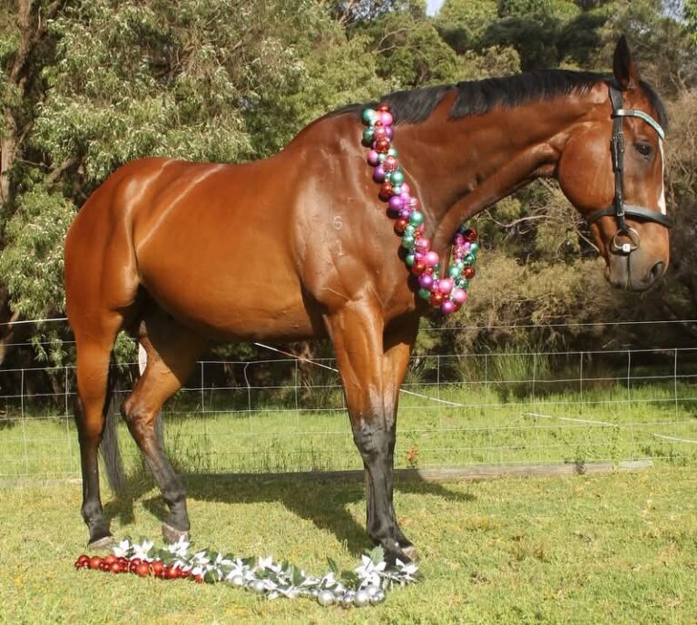 Main Instigator | Off the Track Story | Off The Track WA